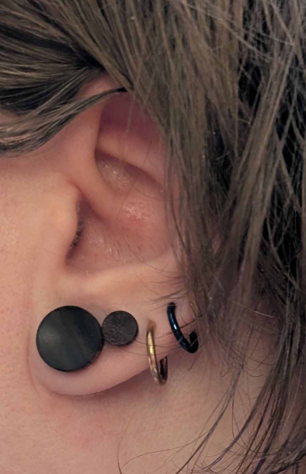 Wood Single Flare Plugs