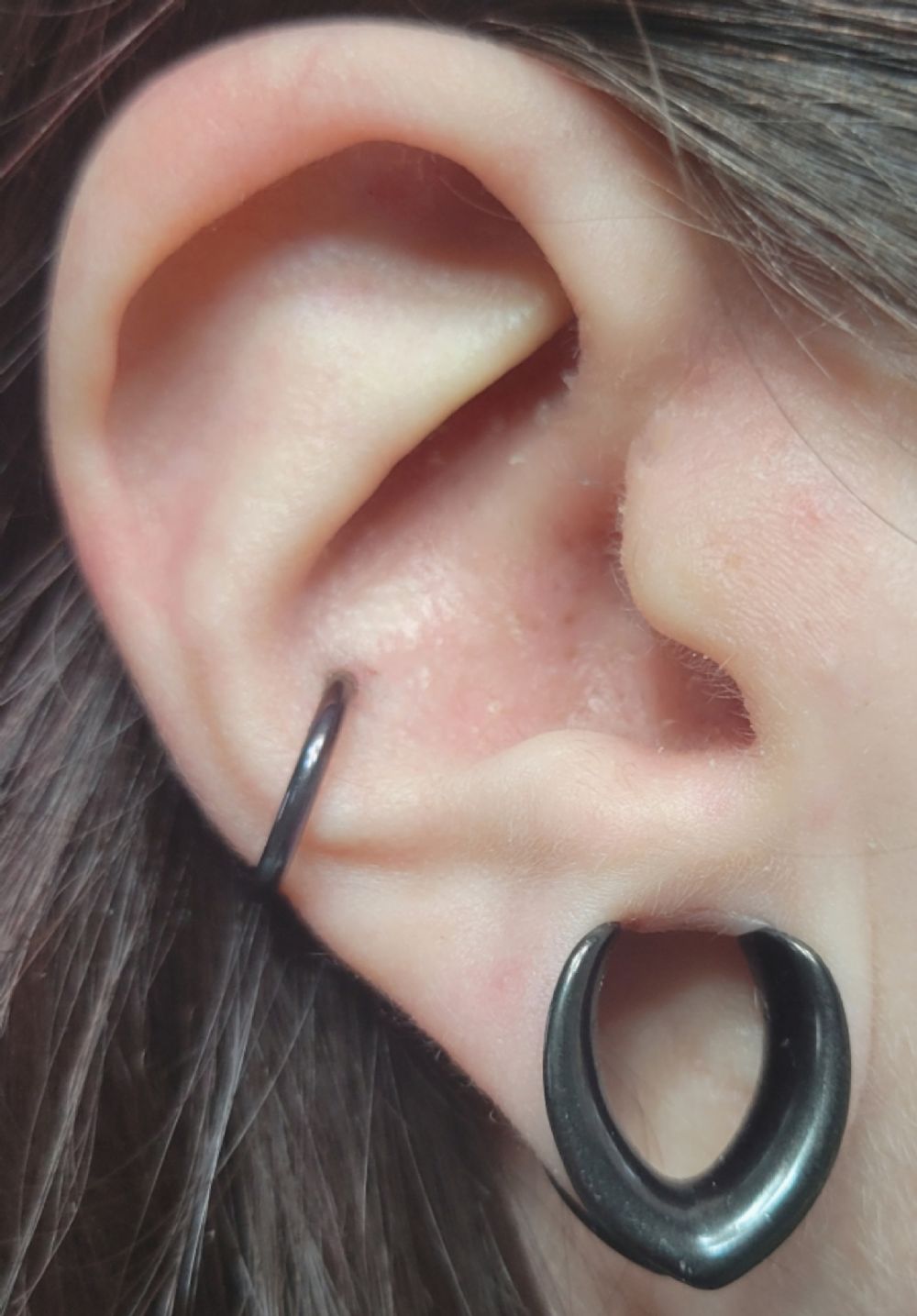 Implant Grade Titanium Clicker | Nose Ring By Invictus