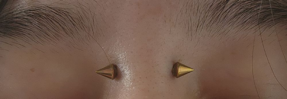Neometal Titanium Threadless Spike Barbell | Cone