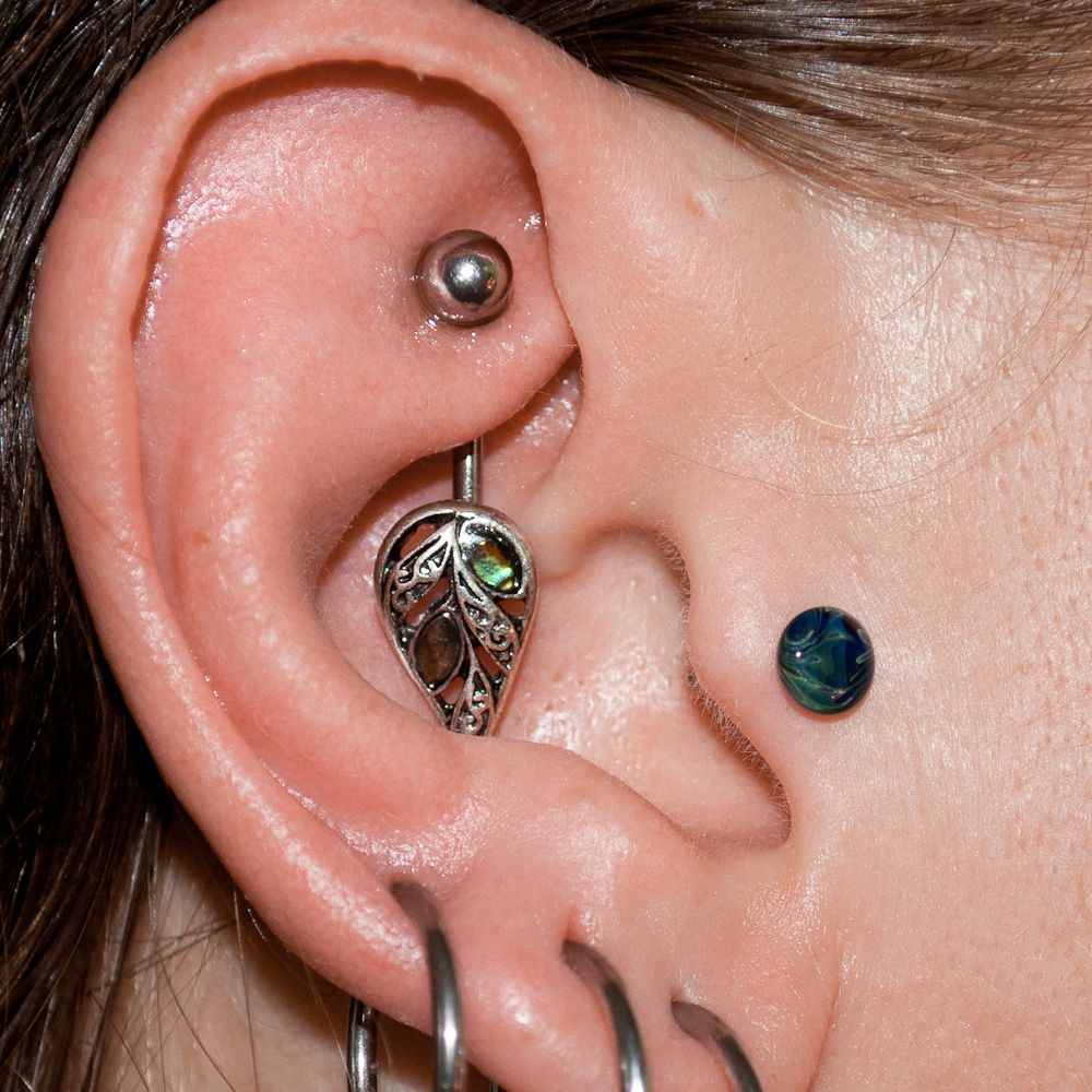 Abalone Leaf Navel Belly Piercing Stainless Steel Shell