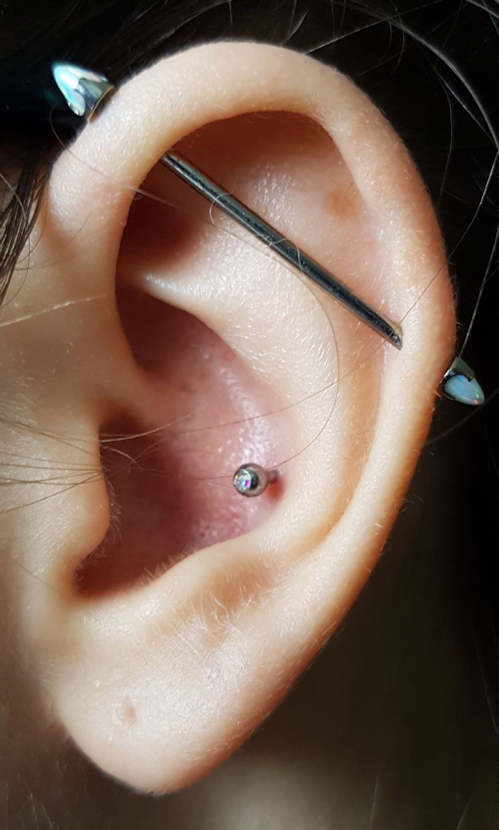 Custom Order Titanium Straight Barbell With Steel Prong Set Bullet Ends