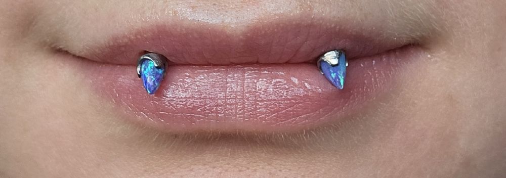 Titanium Prong Set Bullet Internally Threaded Ends