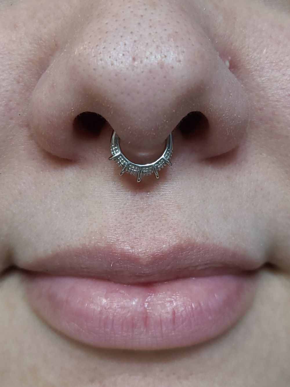 Discount Bin ( Septum Clickers) - Hinged Segment Ring