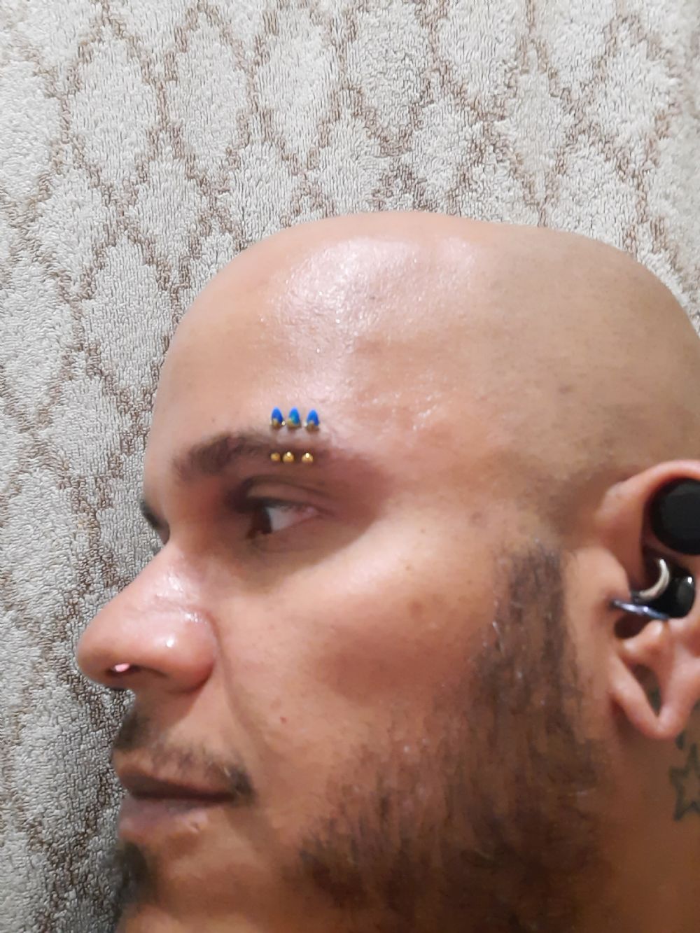 Titanium Prong Set Bullet Internally Threaded Ends