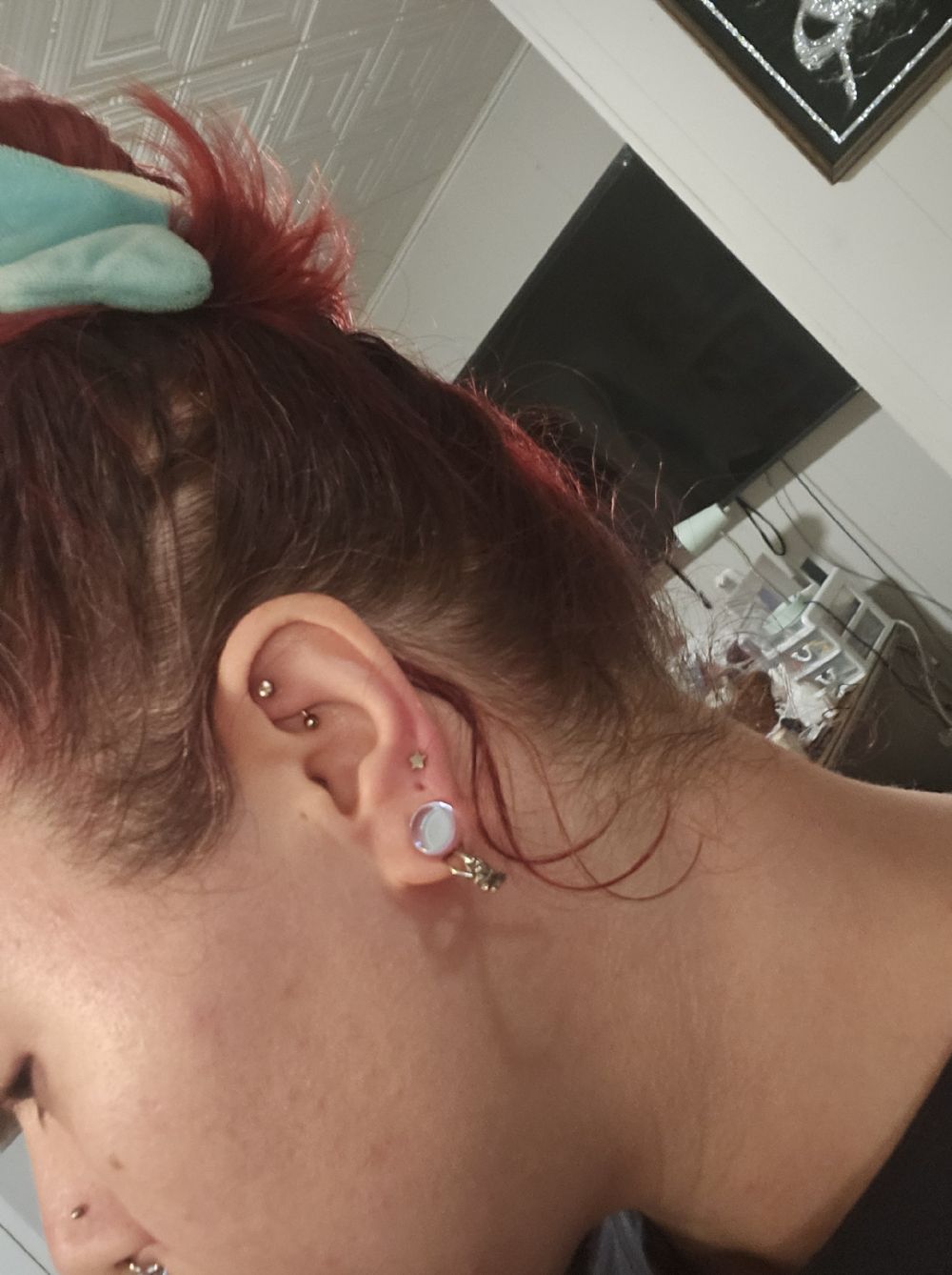 Pierced Owl Gauges Iridescent Glass Double Flared Saddle Plug Gauges - Owl Design (Pair) Gauges ...