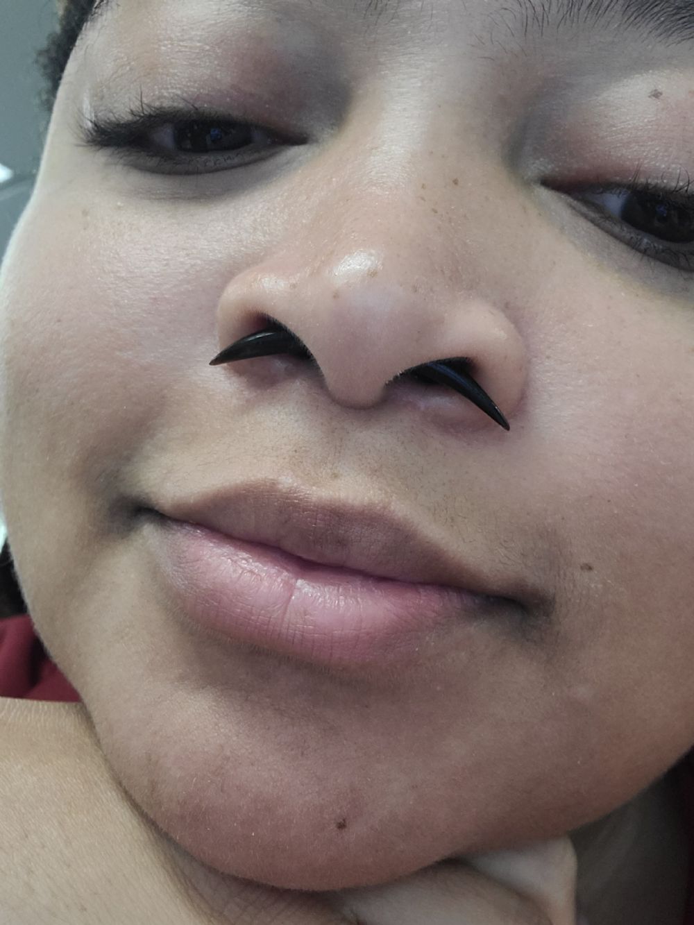 Basic Organic Septum Tusk In Horn Or Bone