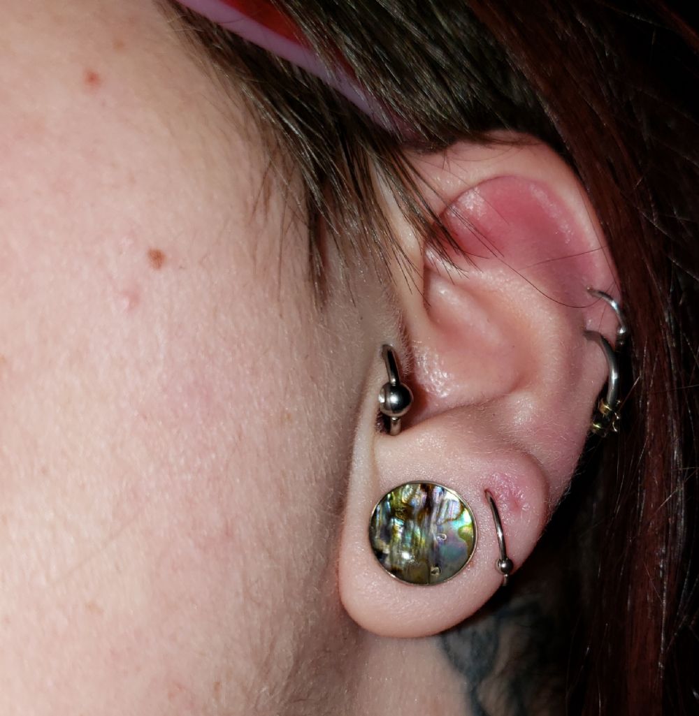 Steel And Abalone Shell Plugs