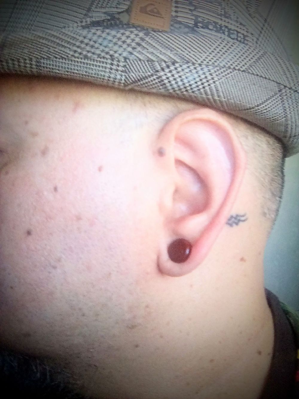 Single Flare Wood Plugs