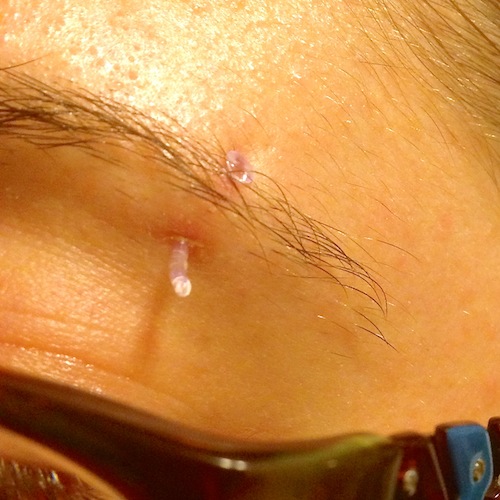 Clear Acrylic Eyebrow Retainer | Basic Curved Hider