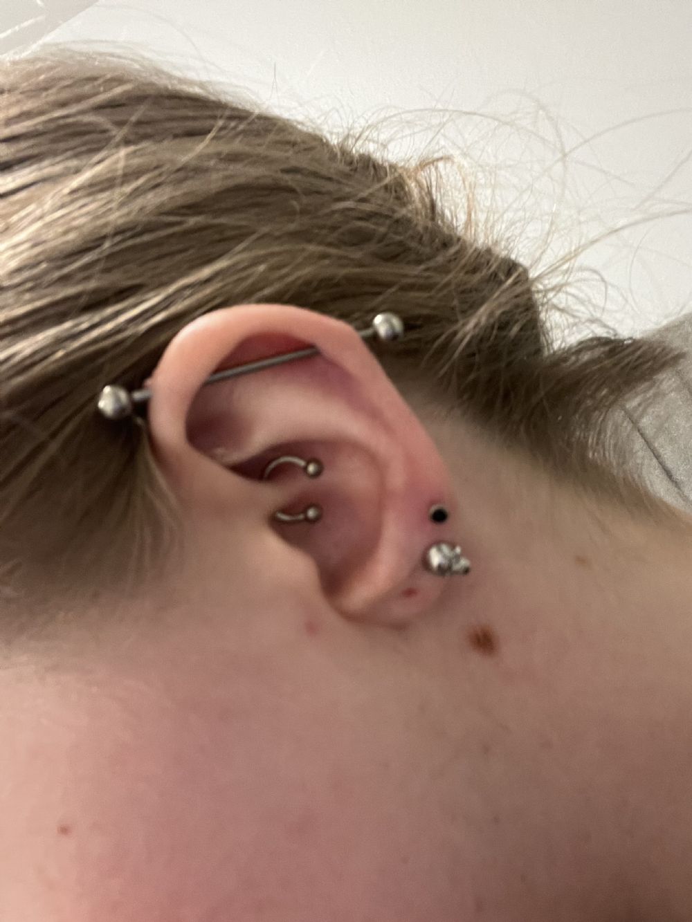 Implant Grade Titanium Straight Barbells | Basic