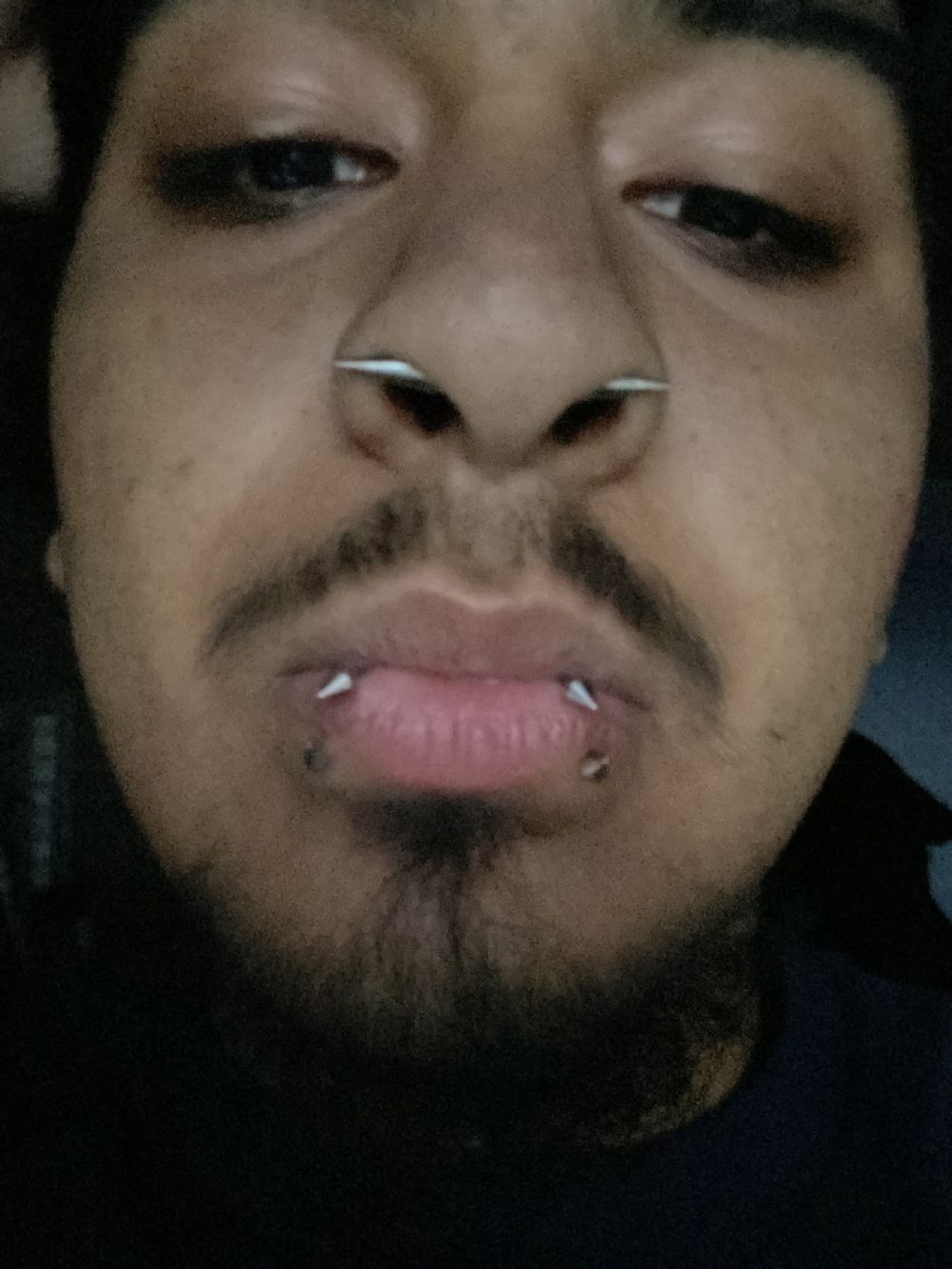 Steel Septum Spike: Stainless Steel Piercing