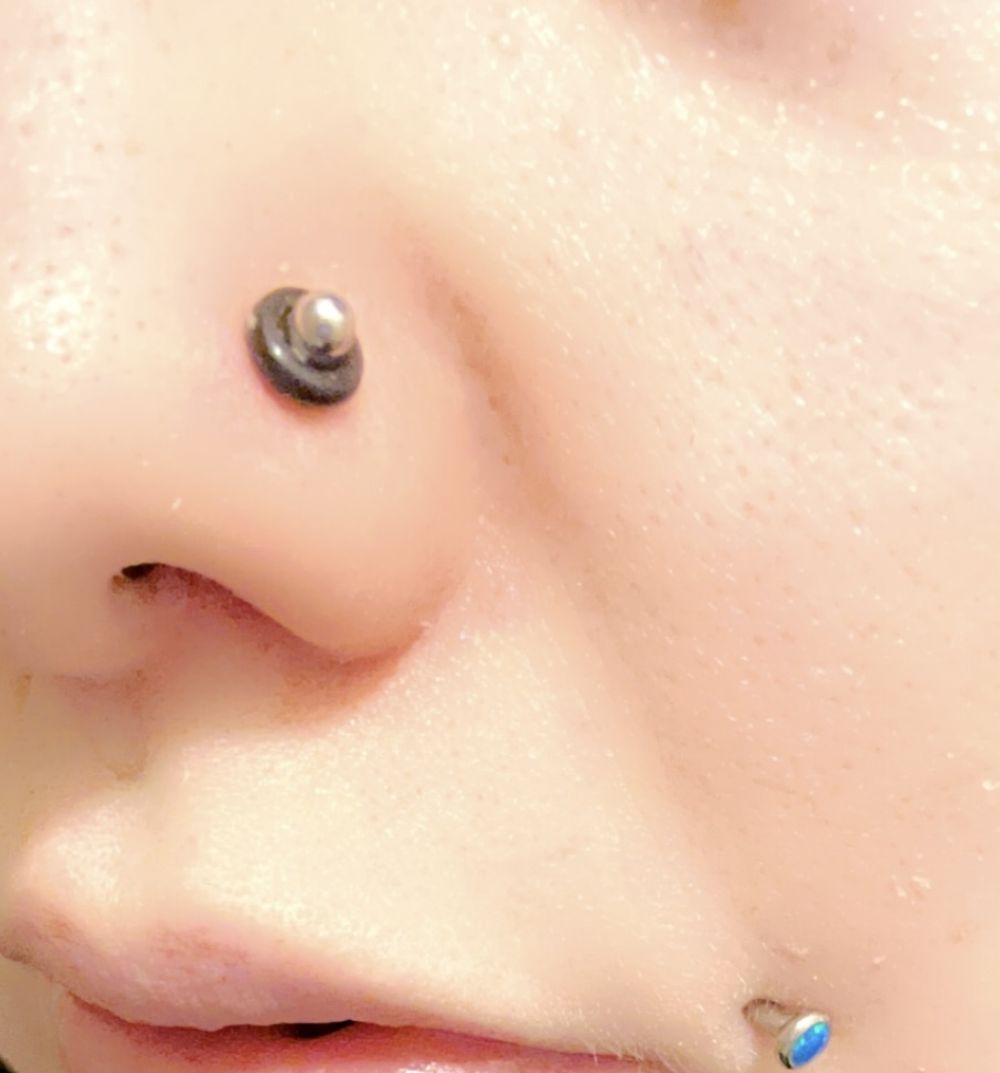 Steel Septum Bullet Keeper | Septum Plug | Retainer