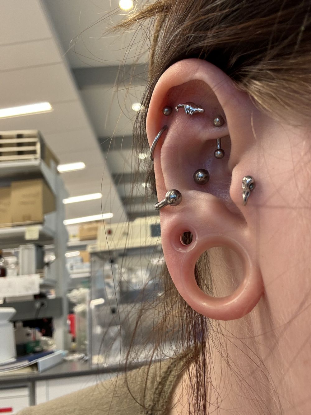 Internally Threaded Titanium Circular Barbell | Basic