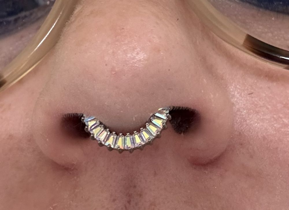 Titanium Sovereign Gem Clicker For Daith And Septum Piercing