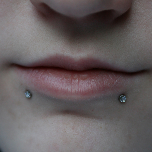 Pre-order Steel Flatback Labret With Prong Set Gem