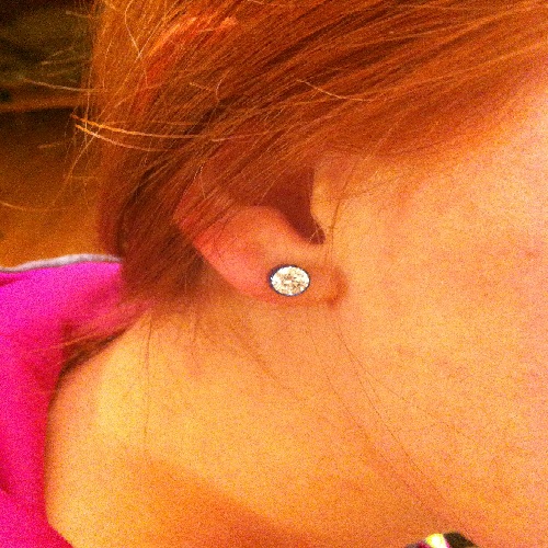 Custom Order Titanium Faceted Gem Plug