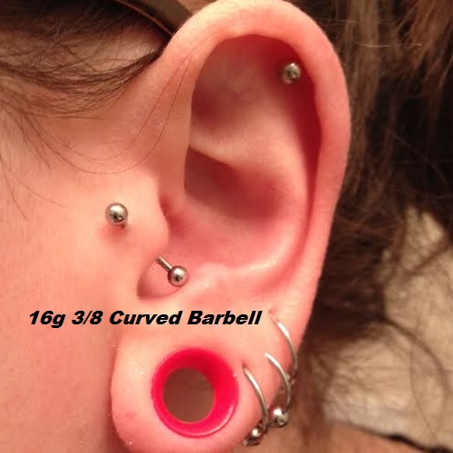 Steel Curved Barbell