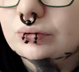 Steel Spring Loaded Captive Bead Ring