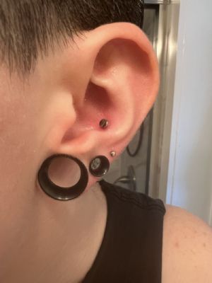 Titanium Screw Top Threadless End