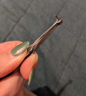 Stainless Surgical Steel Labret Pliers | Tweezers