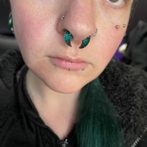 Glass Dichroic Septum Pincher | Gorilla Glass